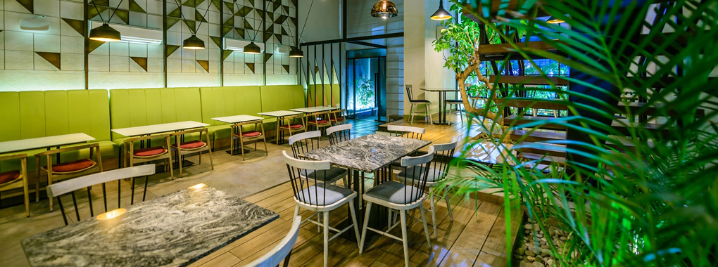 Reviews about Xander's | Rated 4.6 | Karachi (Oct, 2025)