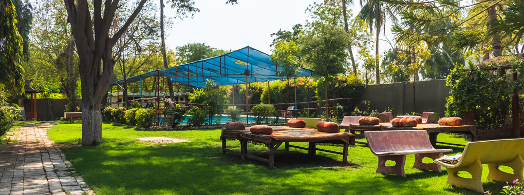 Best Coco Farmhouse Deals & Discounts (Sep, 2025)