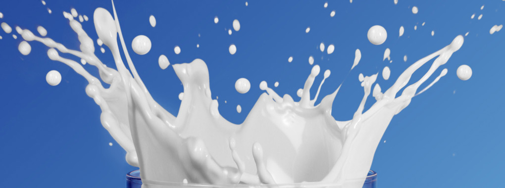 Best Mashallah Milk and Juice Centre Deals & Discounts (Aug, 2025)