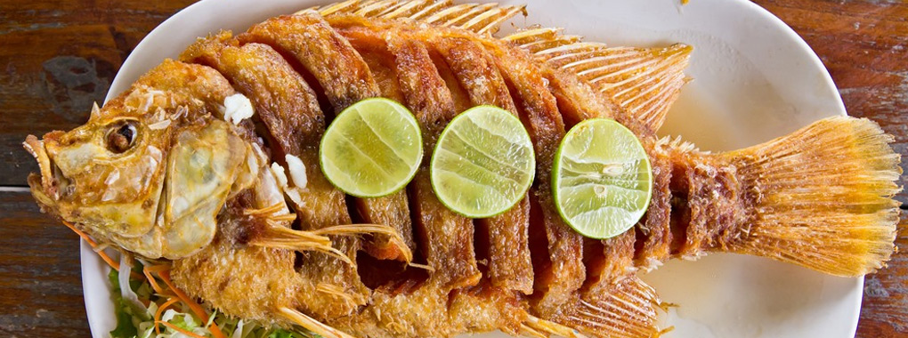 Best Miss Fish Deals & Discounts (Dec, 2025)