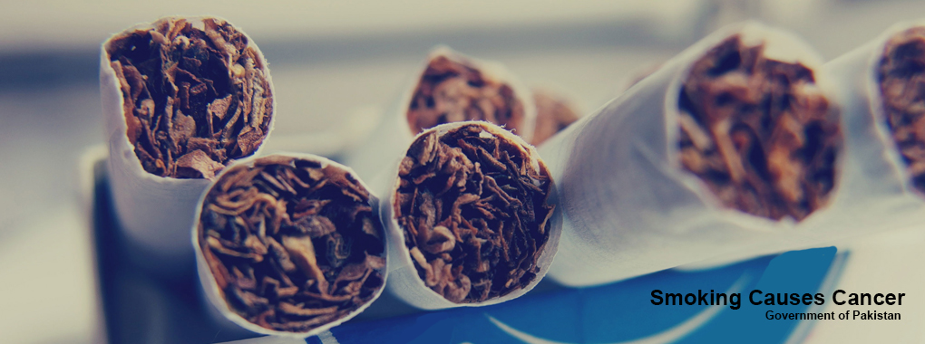 Best Dua Pan Deals & Discounts (Oct, 2025)