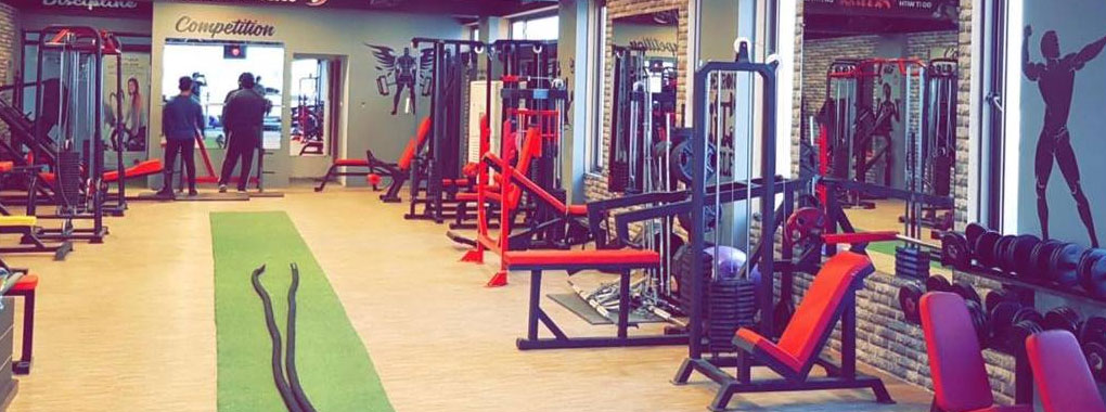 Best Edge Physique Deals & Discounts (Jan, 2026)