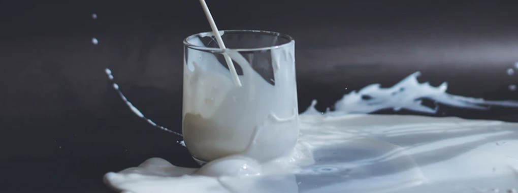 Best Anmol Milk Shop Deals & Discounts (Apr, 2026)