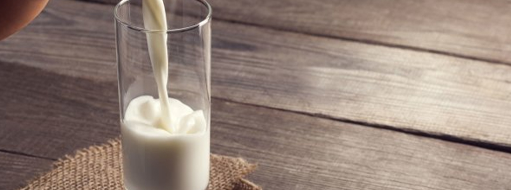 Best Al Hamra Milk Shop Deals & Discounts (May, 2026)