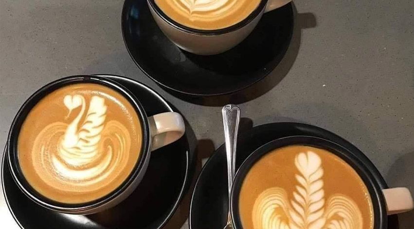 Best Coffee Choice Company Deals & Discounts (Sep, 2025)