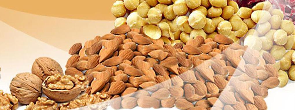Best M Ayub Abbasi Dry Fruit Deals & Discounts (Dec, 2025)
