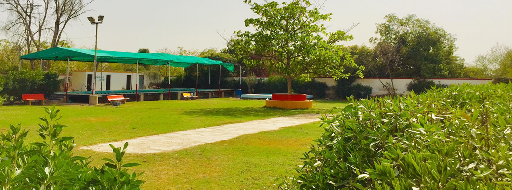 Best Lucky Farm House Deals & Discounts (May, 2026)