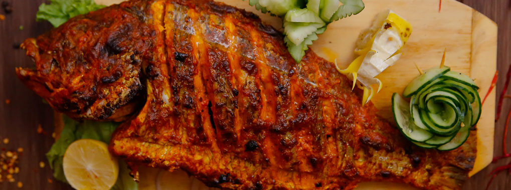 Best Cafe Qabail Deals & Discounts (Jan, 2024)